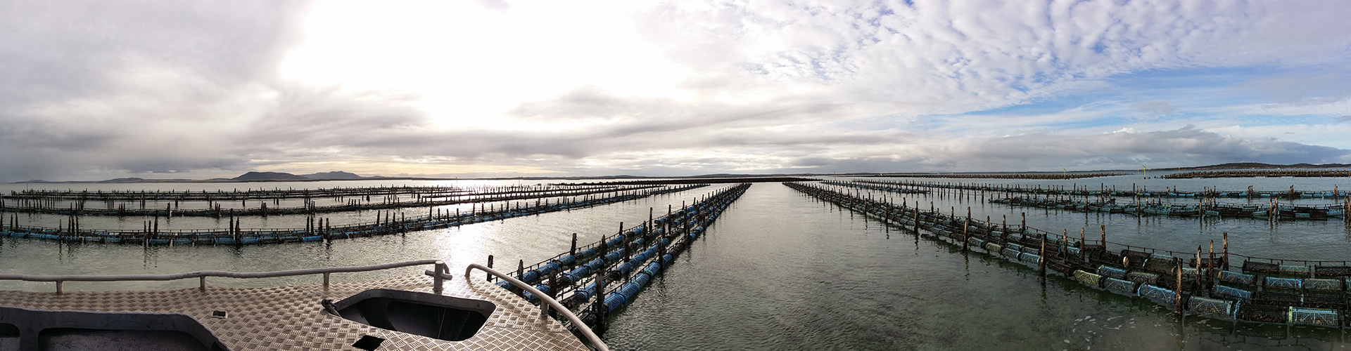 Seapa Superior Oyster Farming Equipment