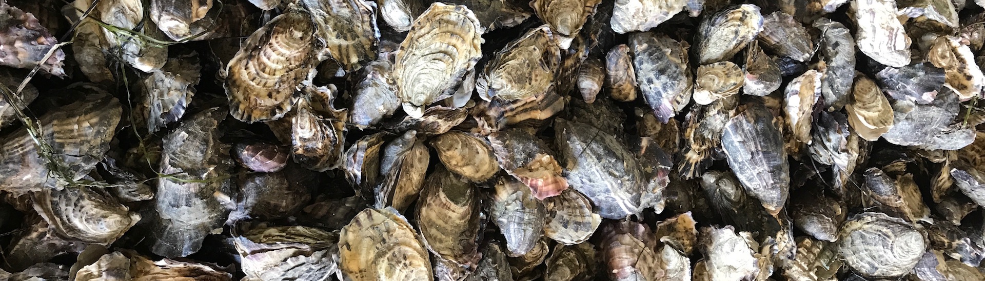 CONTACT | Seapa Australia