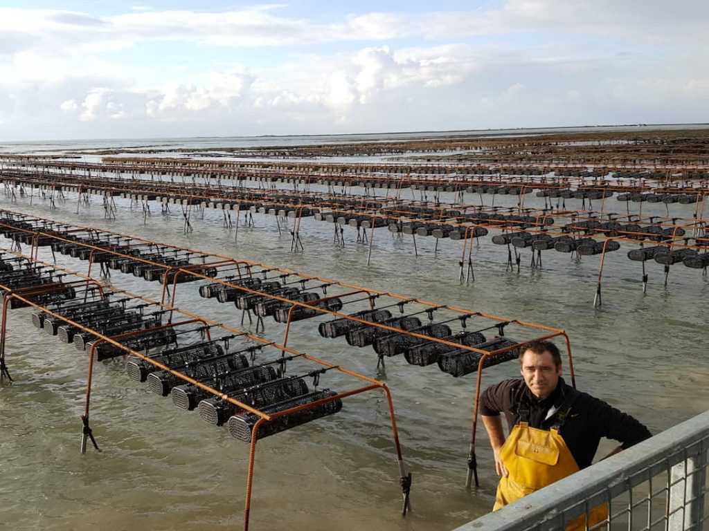 FARMING SYSTEMS | Seapa Australia oyster basket system designs