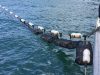 FARMING SYSTEMS | Seapa Australia oyster basket system designs