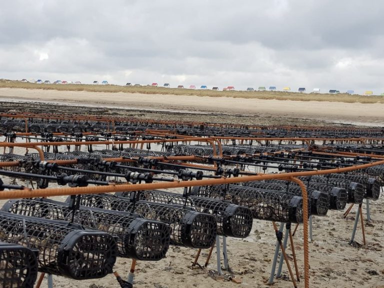 FARMING SYSTEMS | Seapa Australia oyster basket system designs
