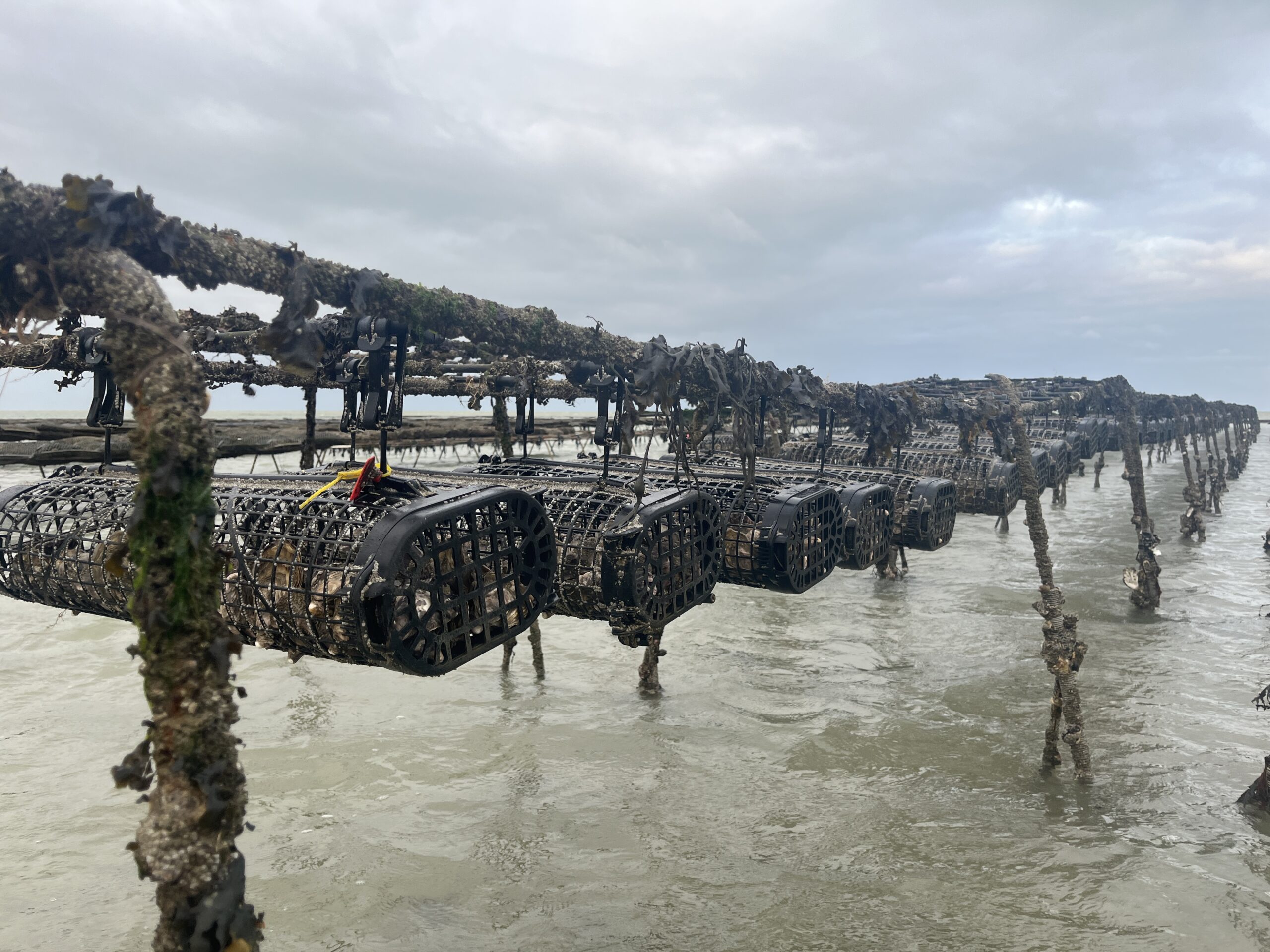 SEAPA customers win gold on France's biggest stage | Seapa Australia